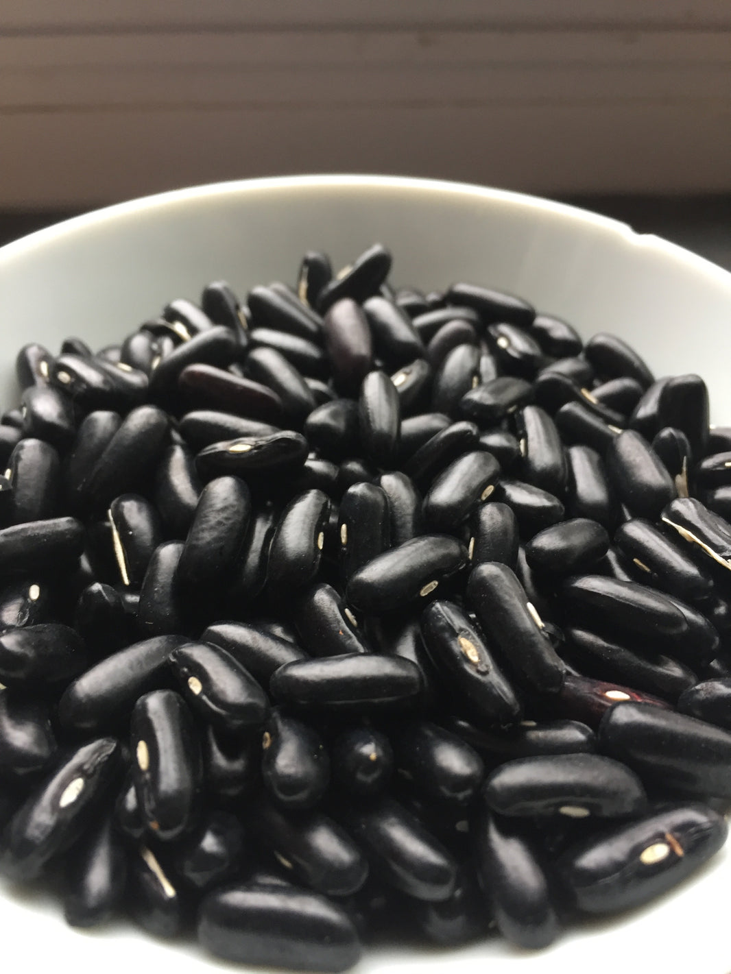 Organic Vegetable Seed – tagged "Beans" – Kitchen Table Seed House