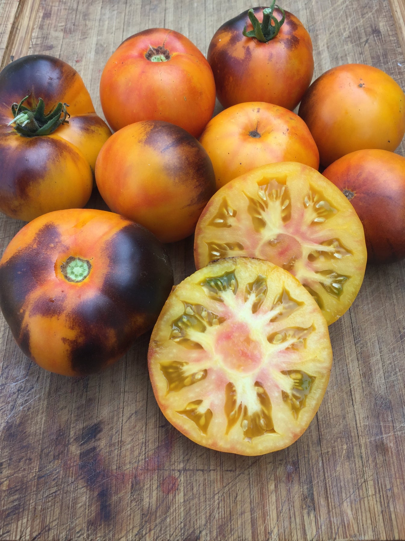 Lucid Gem Tomato – Kitchen Table Seed House